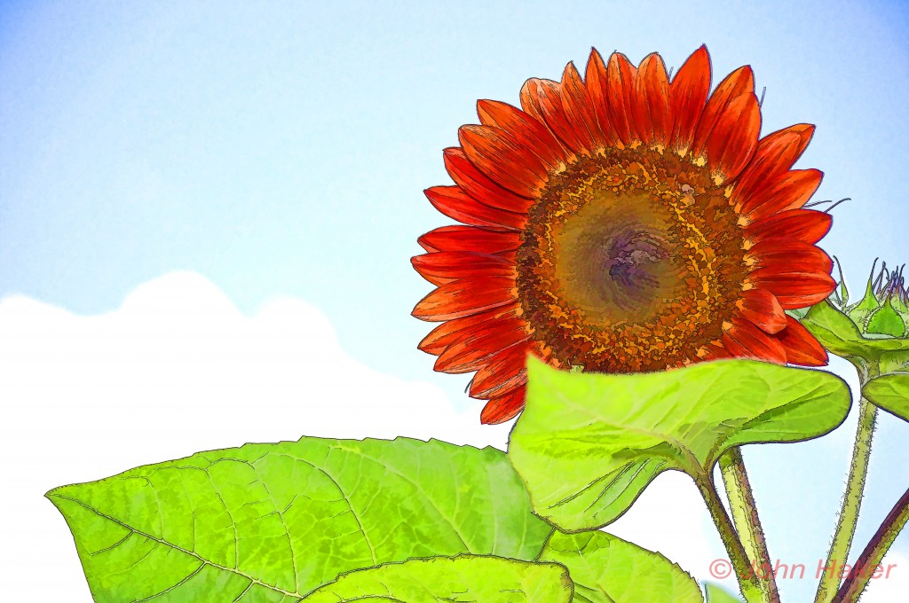Debate | Should You Watermark Art You Are Posting Online? - RedDotBlog