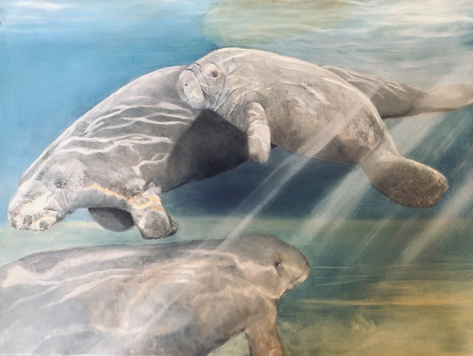 Art as a Connection to Nature The Work of Wildlife Painter Alexandra ...